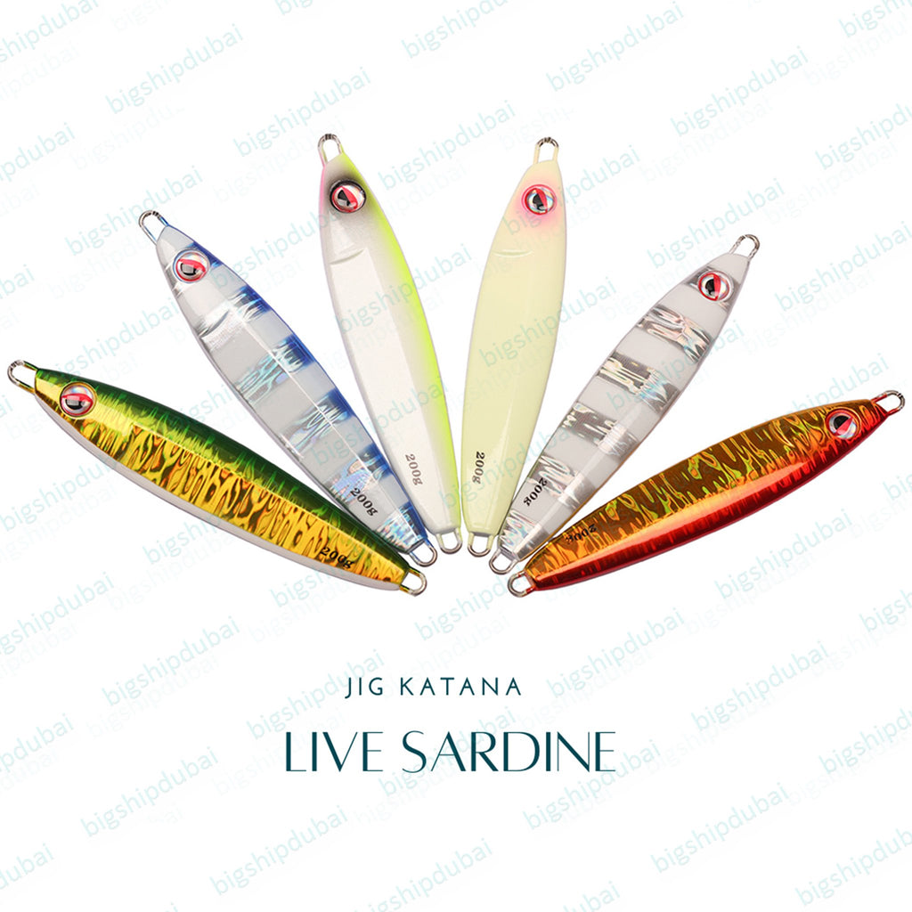 Shop the Best Fishing Lures for Your Next Catch | LITTMA — Big Ship Dubai